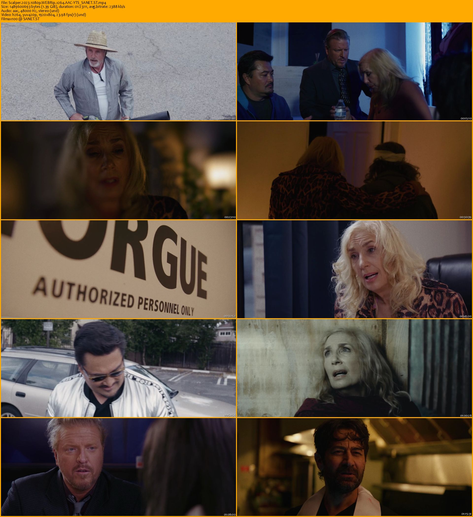 Scalper 2023 1080p WEBRip x264 AAC-YTS - SoftArchive