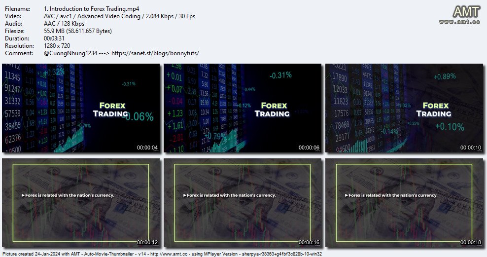 Forex Trading - Complete Course Bundle | SoftArchive