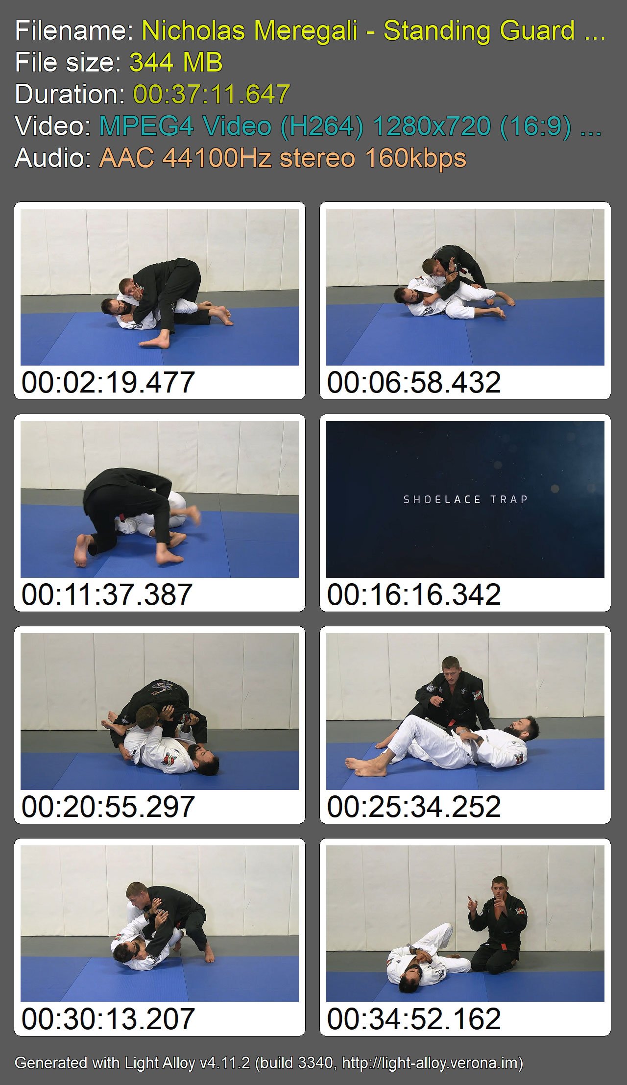 BJJ Fanatics - Fundamentals Of Jiu-Jitsu: Standing Guard Passing ...