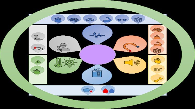 Biomedical Signal Processing Softarchive