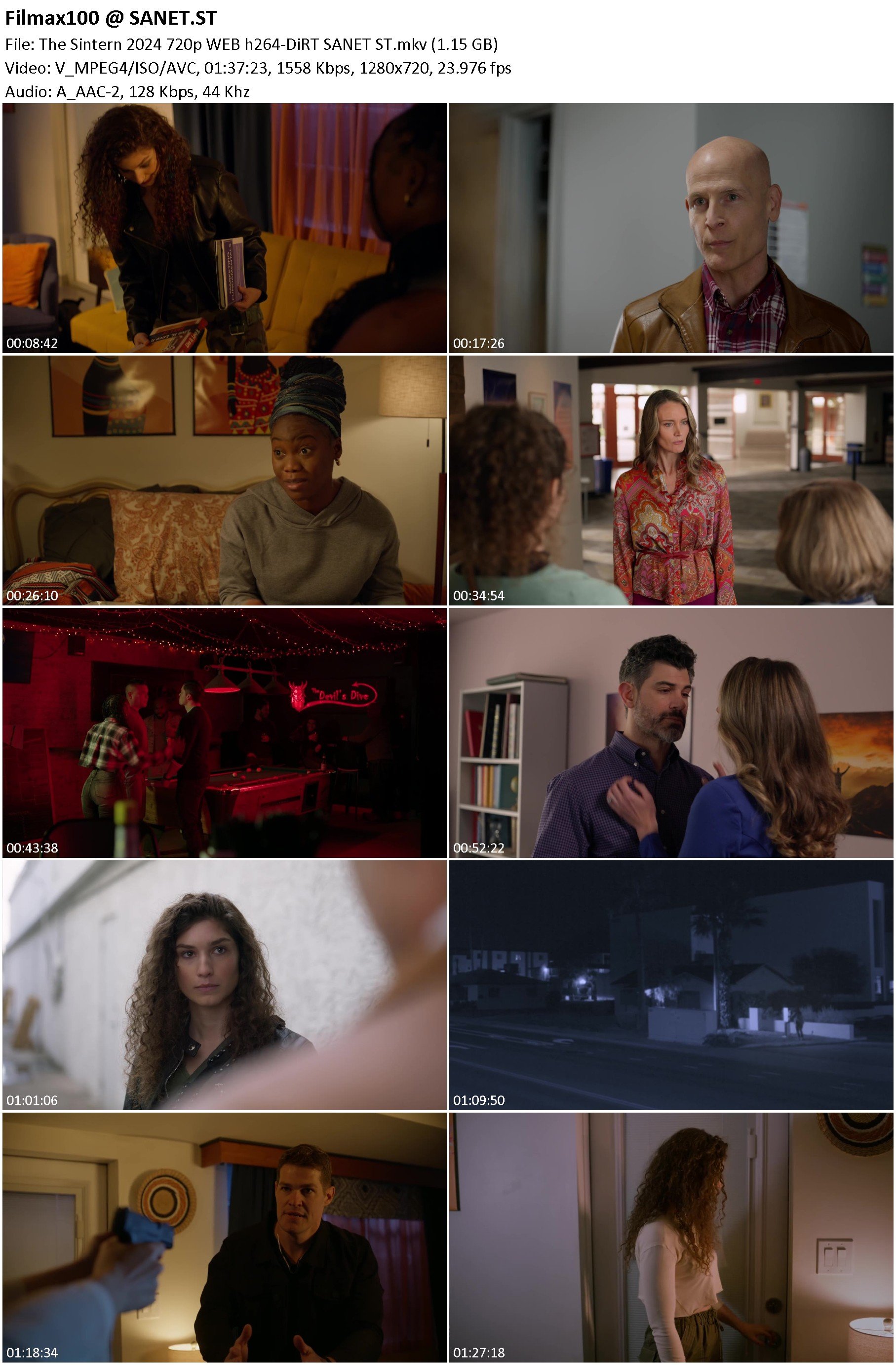 The Sintern 2024 720p WEB h264-DiRT | SoftArchive