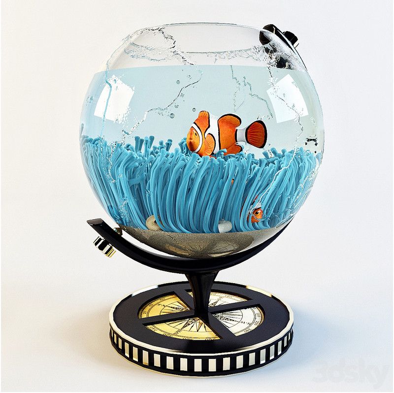 Aquarium with nemo fish - 3D Model | SoftArchive