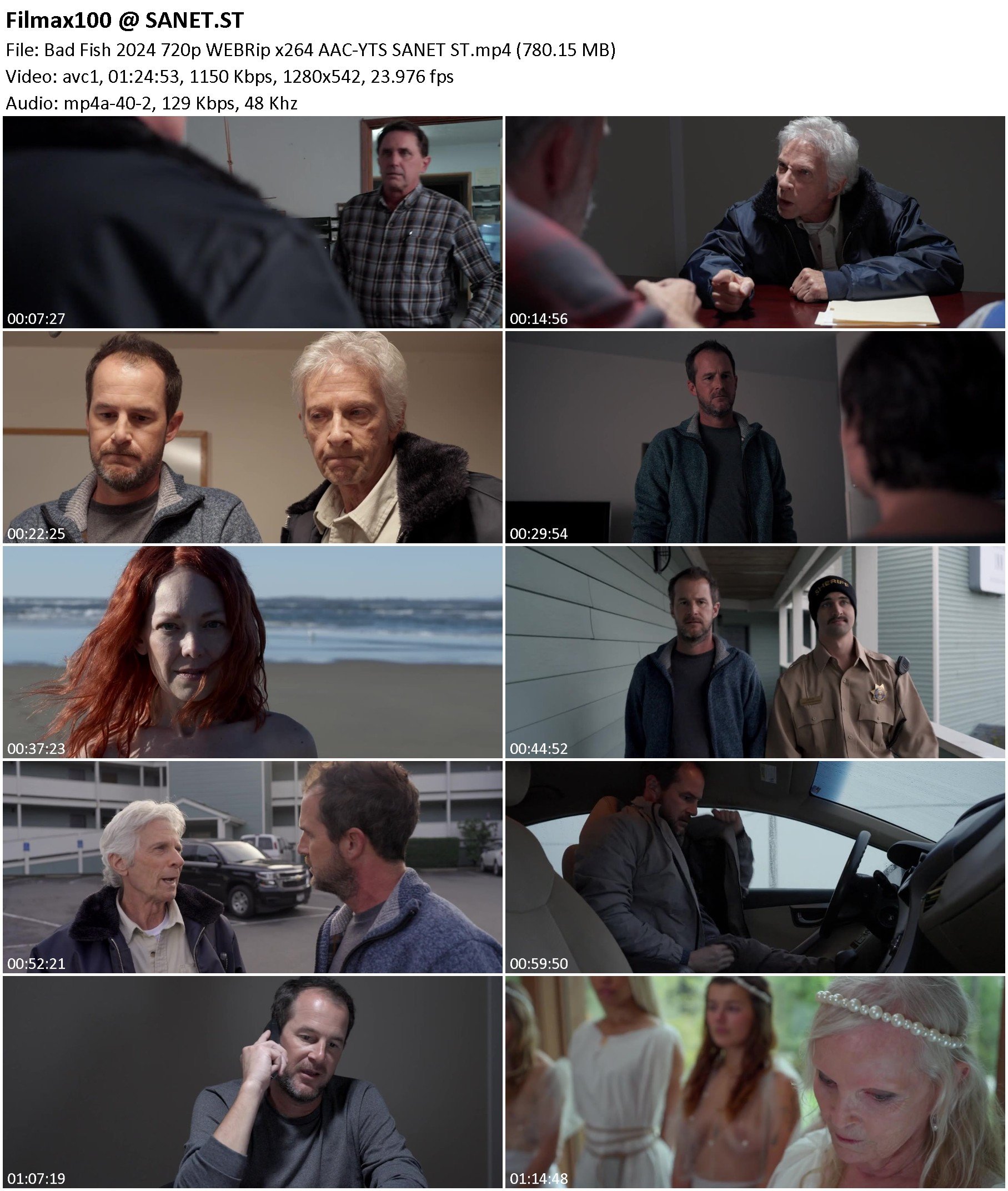 Bad Fish 2024 720p WEBRip x264 AAC-YTS | SoftArchive