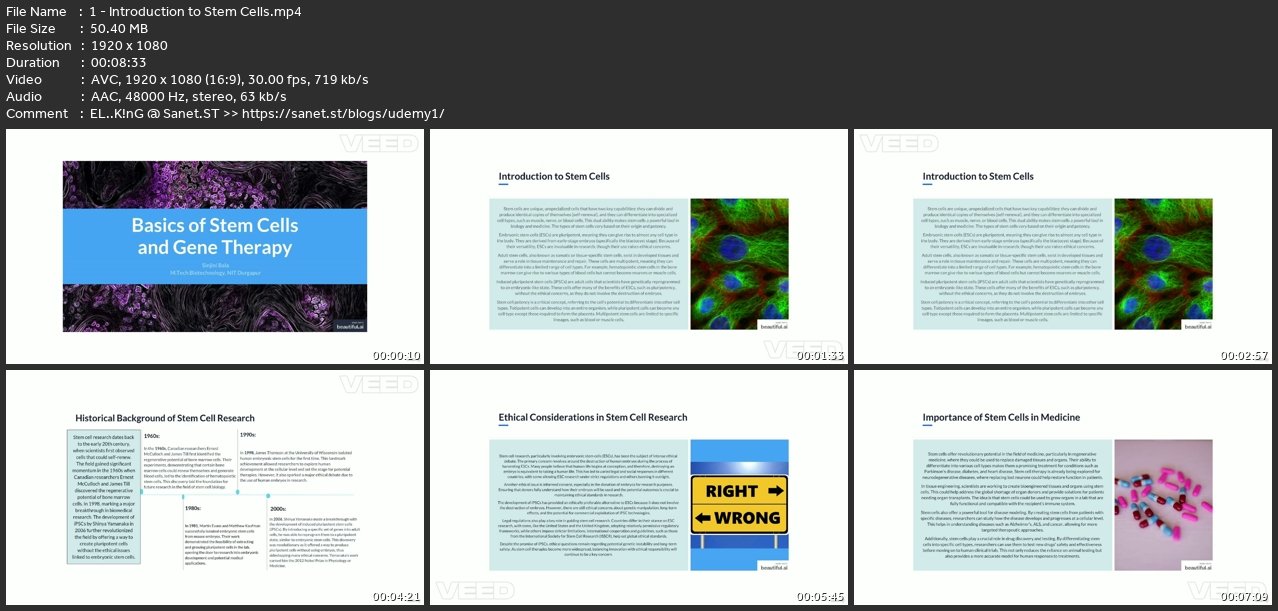 Basics Of Stem Cell And Gene Therapy | SoftArchive