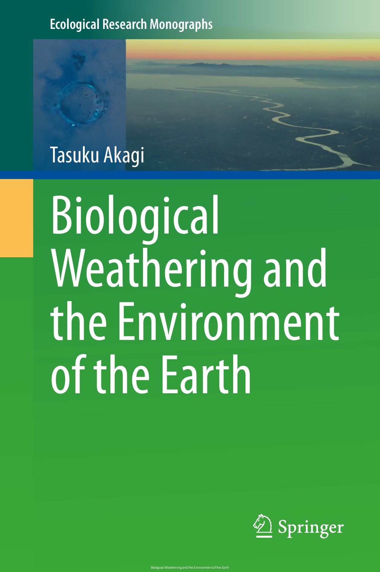 Biological Weathering and the Environment of the Earth (Ecological ...