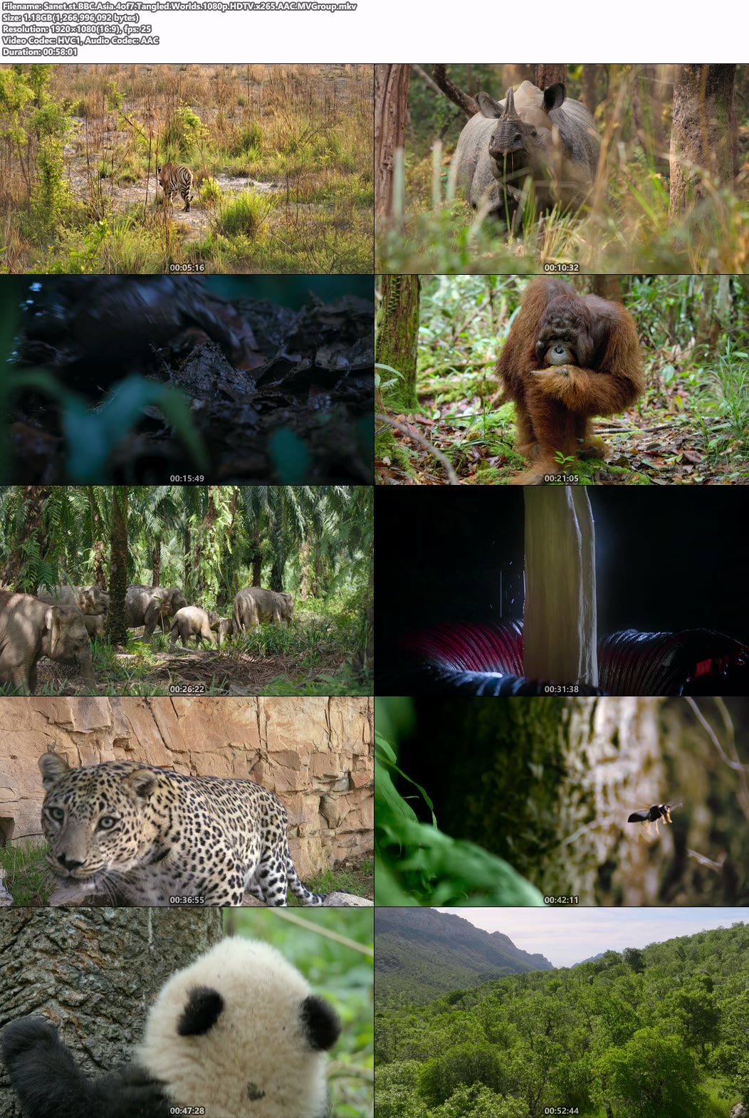 BBC - Asia (2024) 1080p HDTV x265 AAC MVGroup | SoftArchive