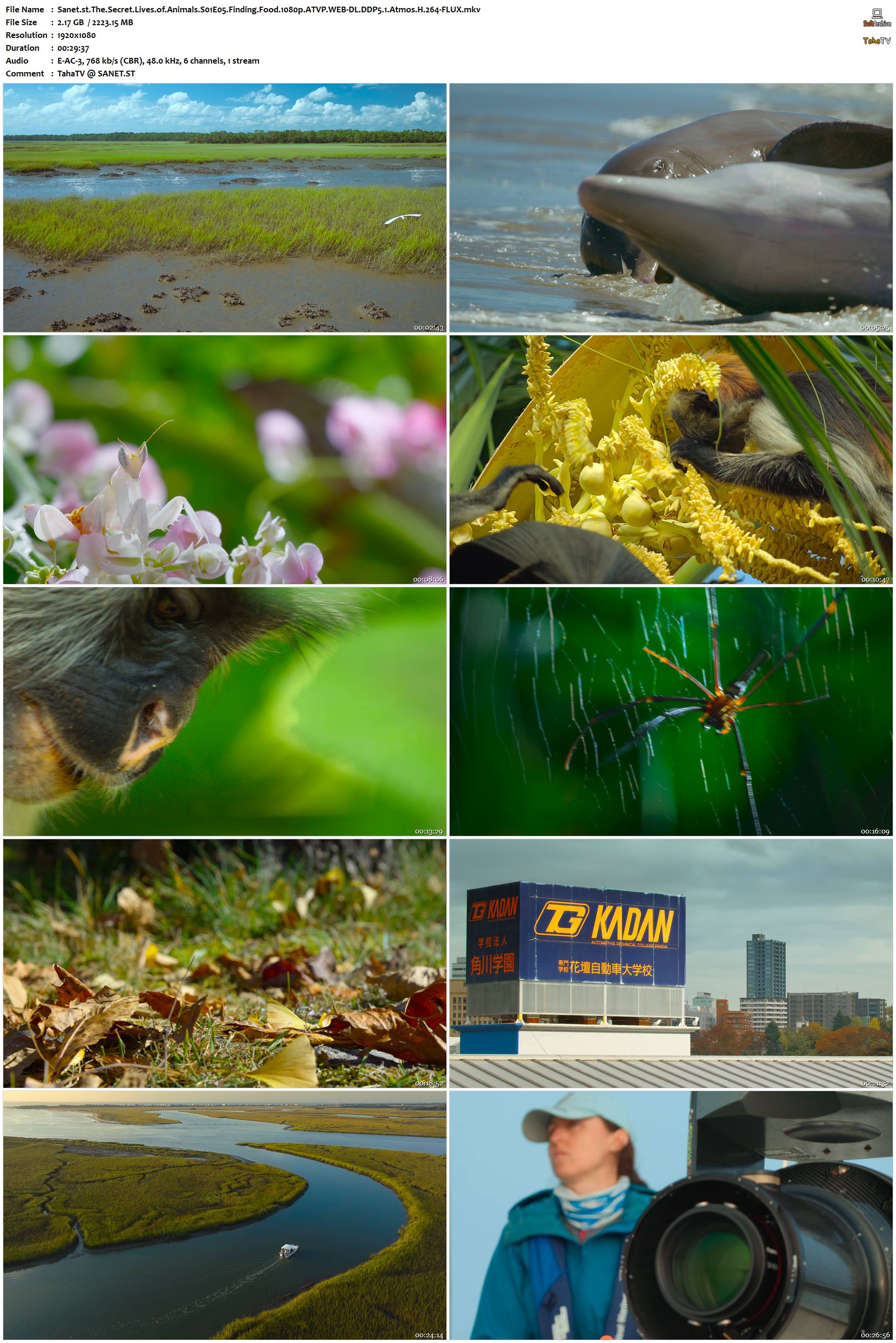 The Secret Lives of Animals S01 1080p ATVP WEB-DL DDP5.1 Atmos H264 ...