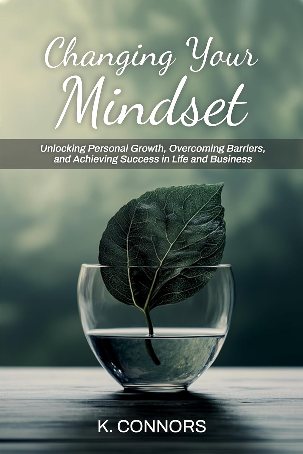 Changing Your Mindset | SoftArchive
