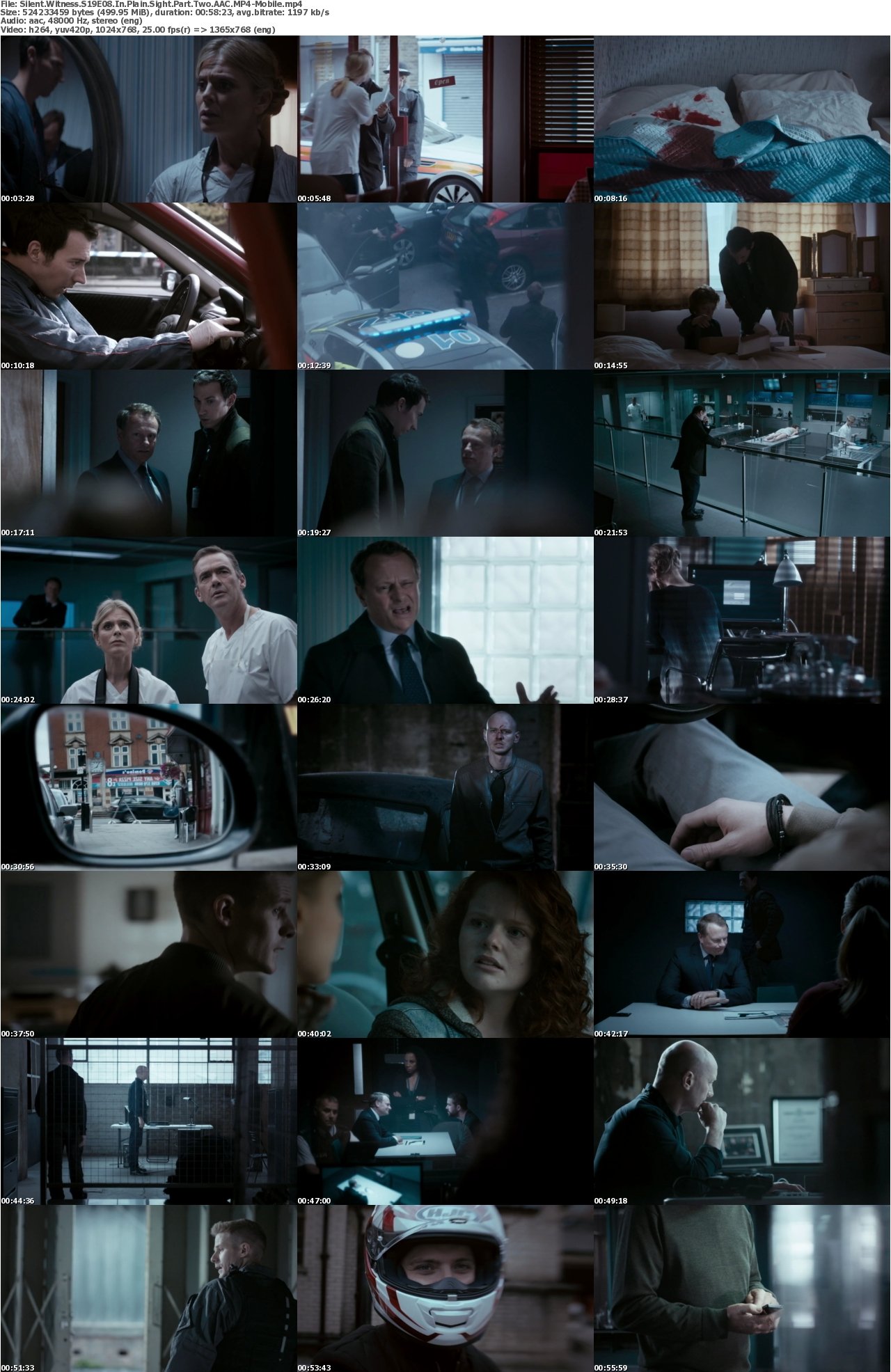 Silent Witness S19E08 In Plain Sight Part Two AAC MP4-Mobile | SoftArchive