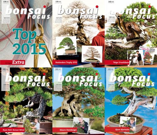 Bonsai Focus - 2016 Full Year Issues Collection (English Edition ...