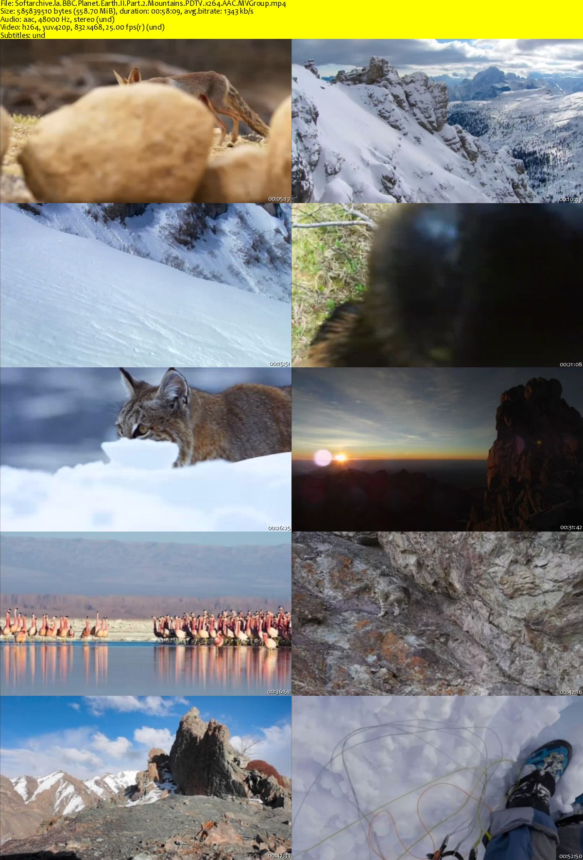 BBC Planet Earth II Part 2 Mountains 2016 PDTV X264 AAC MVGroup BBC Planet Earth II Part 2 Mountains 2016 PDTV X264 AAC MVGroup