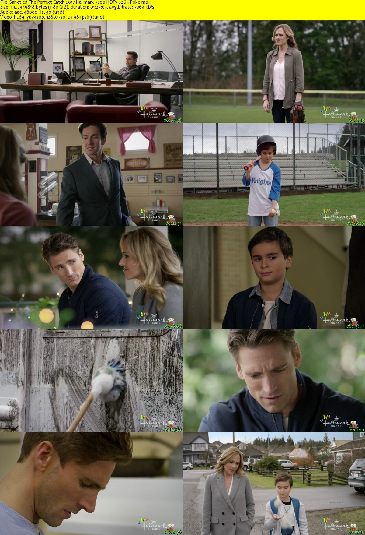 The Perfect Catch 2017 Hallmark 720p HDTV x264-Poke | SoftArchive