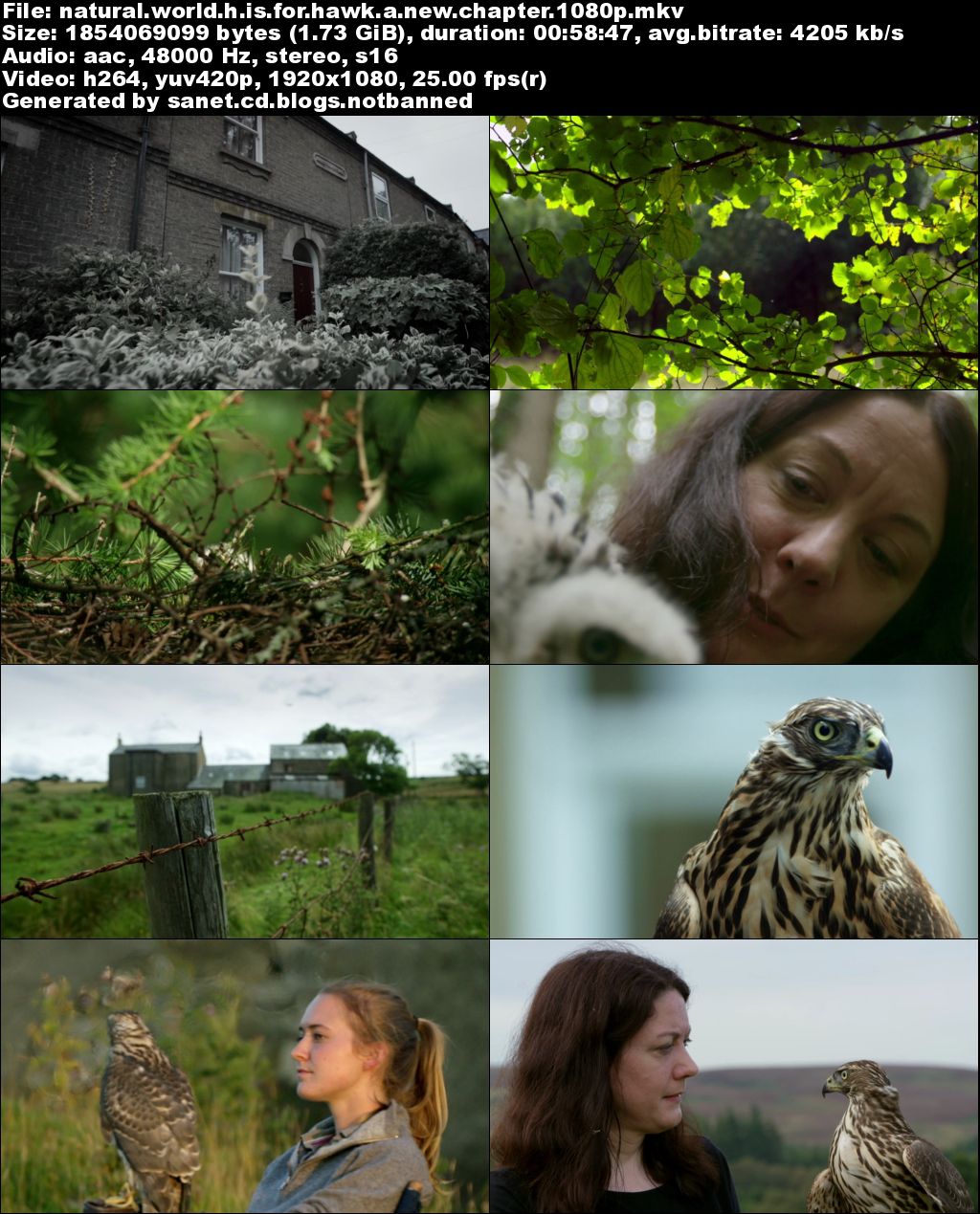 BBC Natural World - H is for Hawk: A New Chapter (2017) 1080p HDTV h264 ...