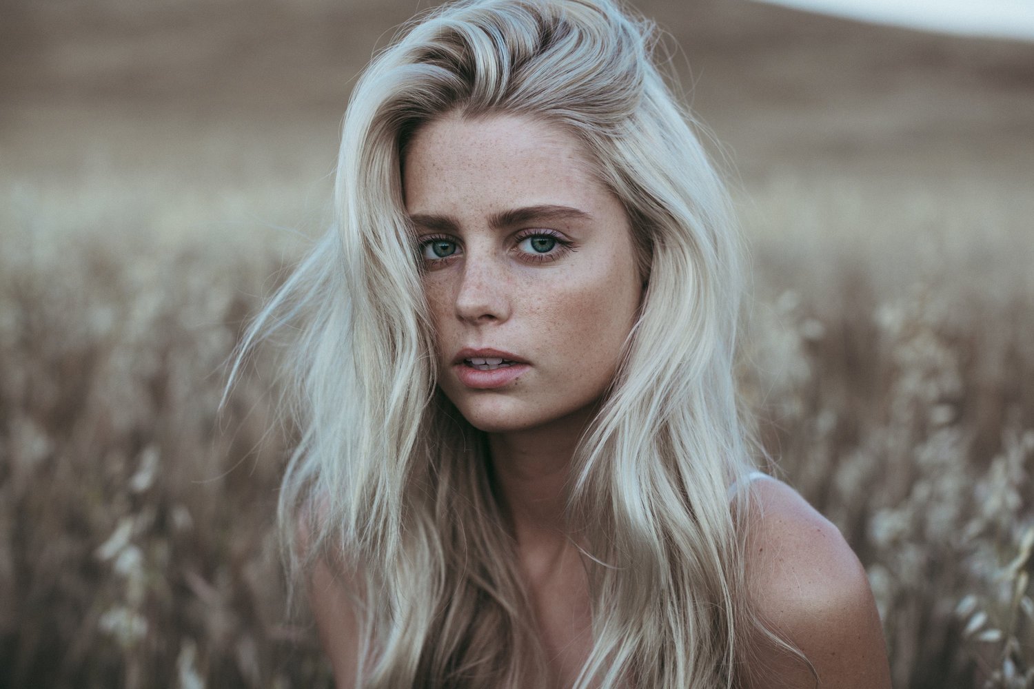 Chuck Lang Legacy Lightroom Preset Pack | SoftArchive