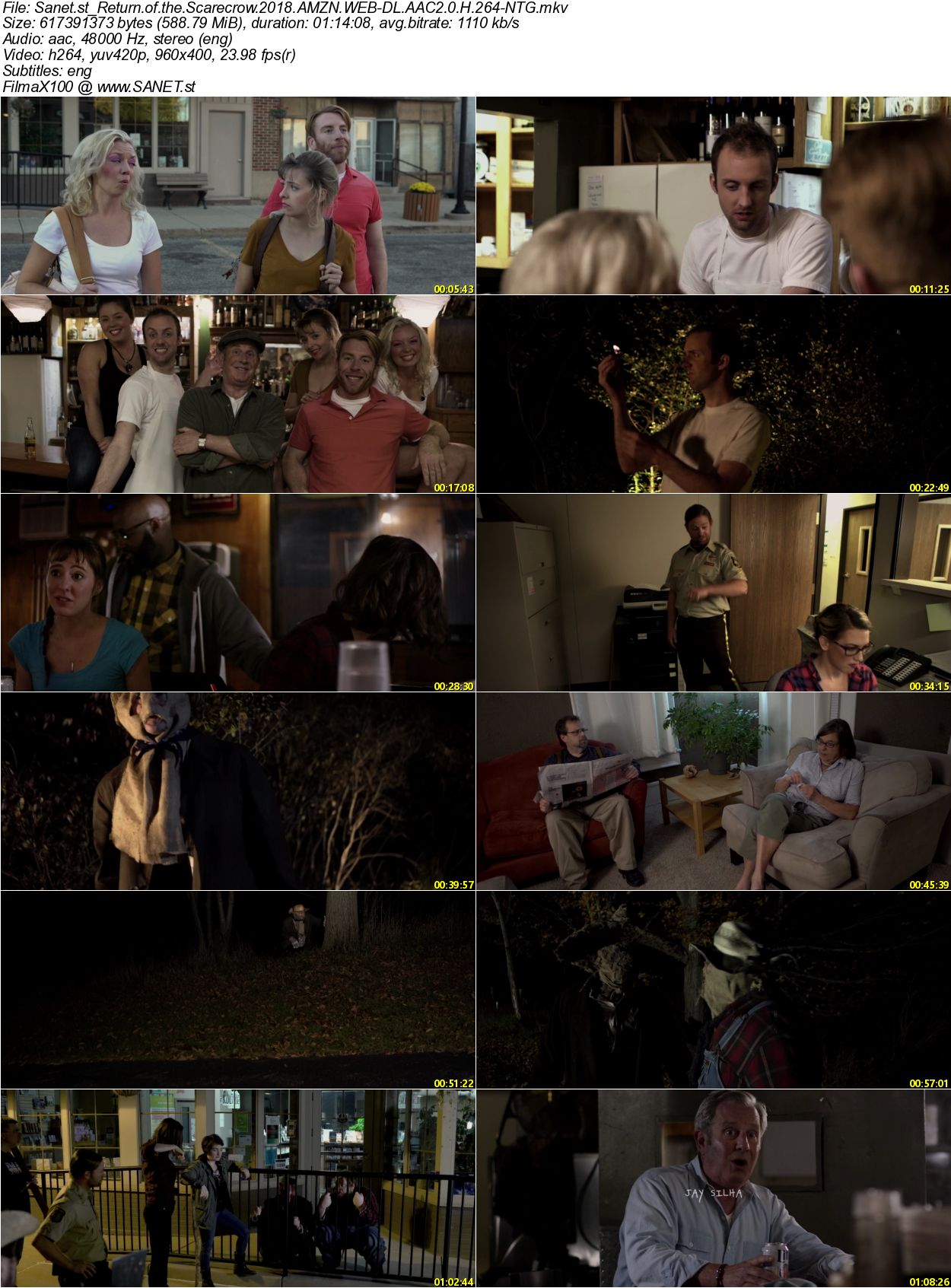 Return of the Scarecrow 2018 AMZN WEB-DL AAC2.0 H264-NTG | SoftArchive