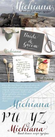 Michiana Pro Font | SoftArchive