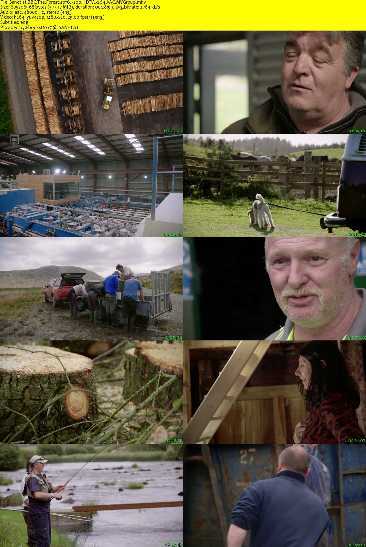 BBC - The Forest (2018) 720p HDTV x264 AAC MVGroup | SoftArchive
