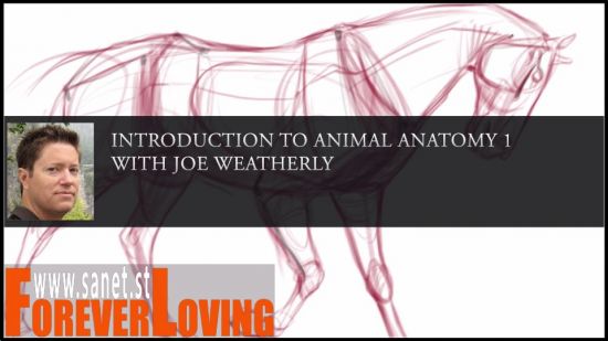 Introduction to Animal Anatomy 1 with Joe Weatherly | SoftArchive