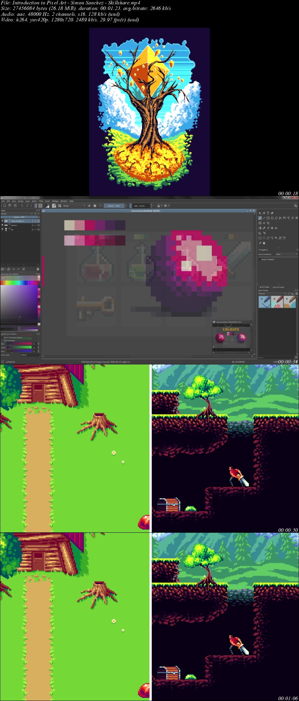 Introduction to Pixel Art | SoftArchive