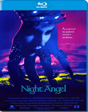 Night Angel 1990 1080p BluRay x265-RARBG | SoftArchive