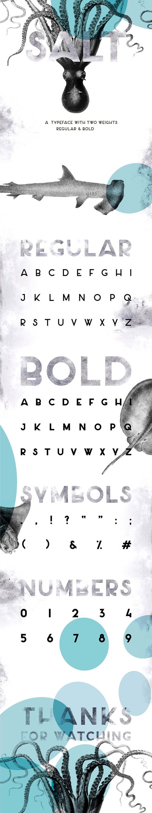 Salt Sans Serif Font Family (2-Weights) | SoftArchive