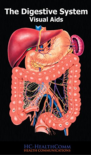 Digestive System, Visual Aids: Full Illustrated | SoftArchive