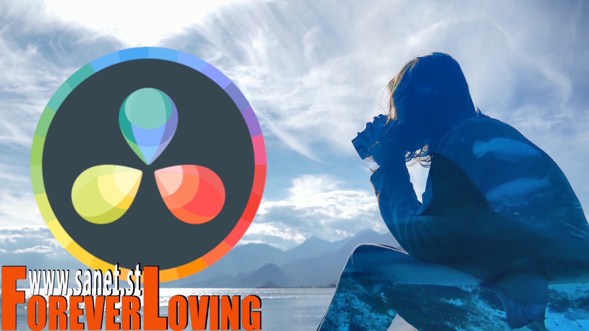 Color and 3D Effects in DaVinci Resolve 16 | SoftArchive