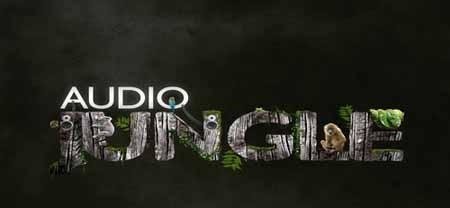 AudioJungle - For Tutorial 27678581 | SoftArchive