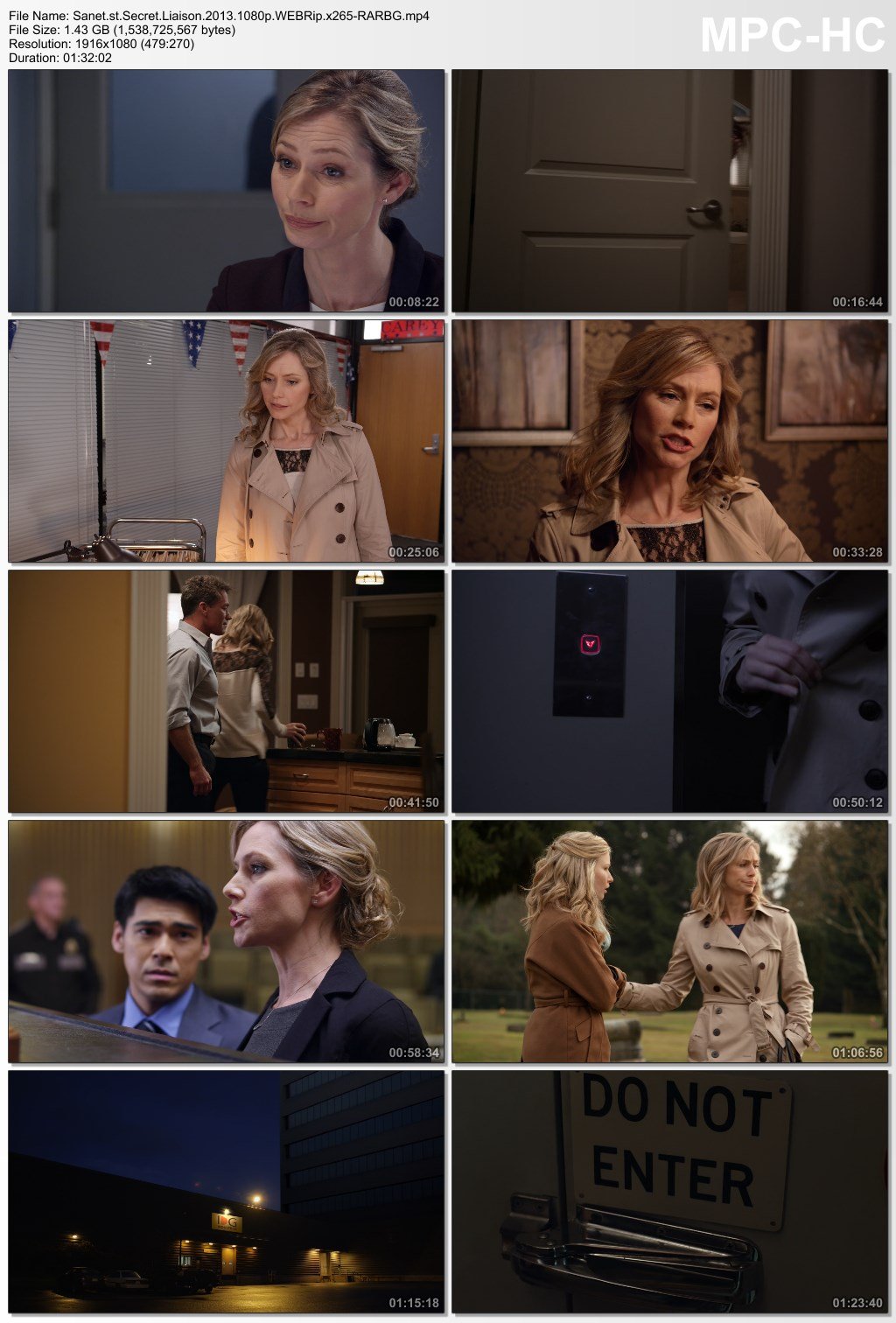 Secret Liaison 2013 1080p WEBRip x265-RARBG | SoftArchive