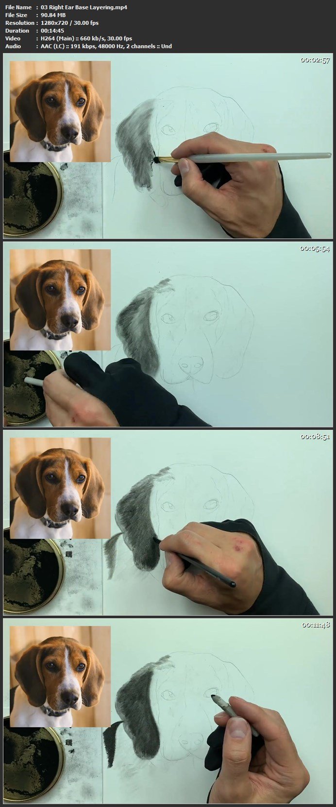 How to Draw a Beagle | Step by Step Tutorial | SoftArchive