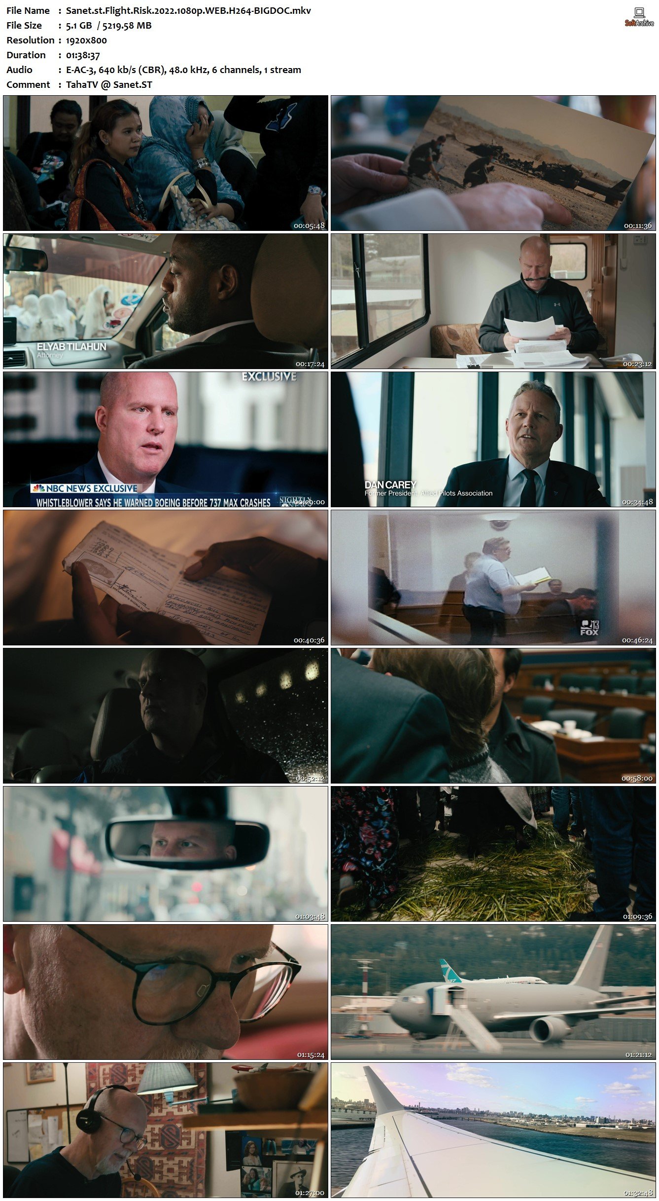 Flight Risk 2022 1080p WEB H264-BIGDOC | SoftArchive