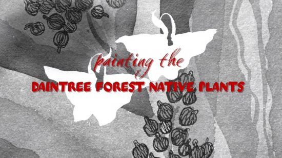 Painting The Daintree Forest Native Plants | SoftArchive