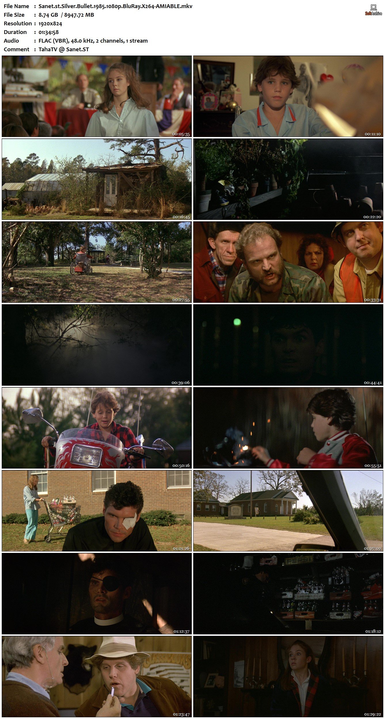 Download Silver Bullet 1985 1080p BluRay X264-AMIABLE - SoftArchive