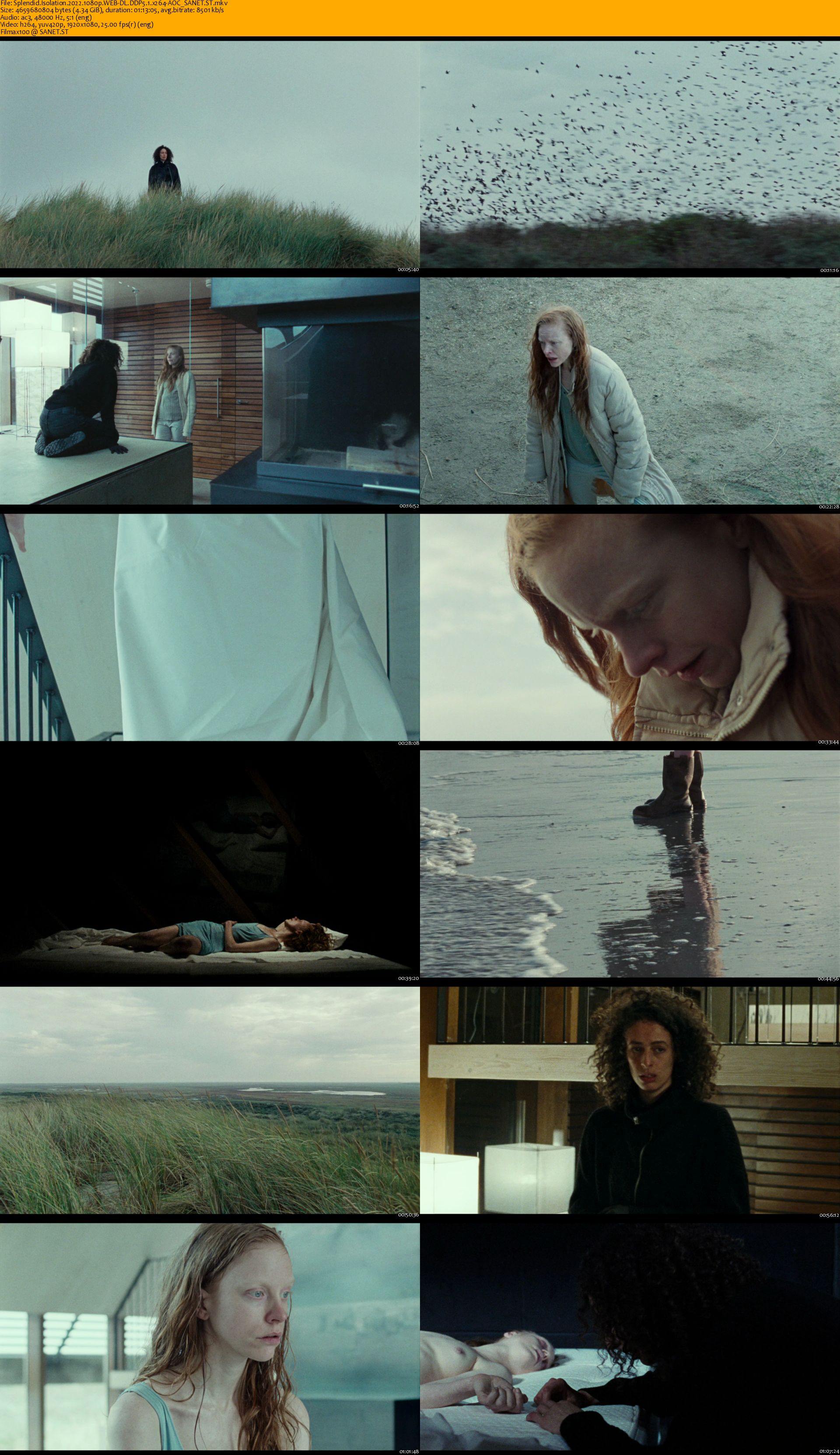 Splendid Isolation 2022 1080p WEB-DL DDP5.1 x264-AOC | SoftArchive