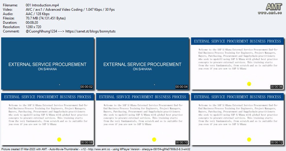 Learn SAP S/4Hana External Service Procurement as a new user | SoftArchive