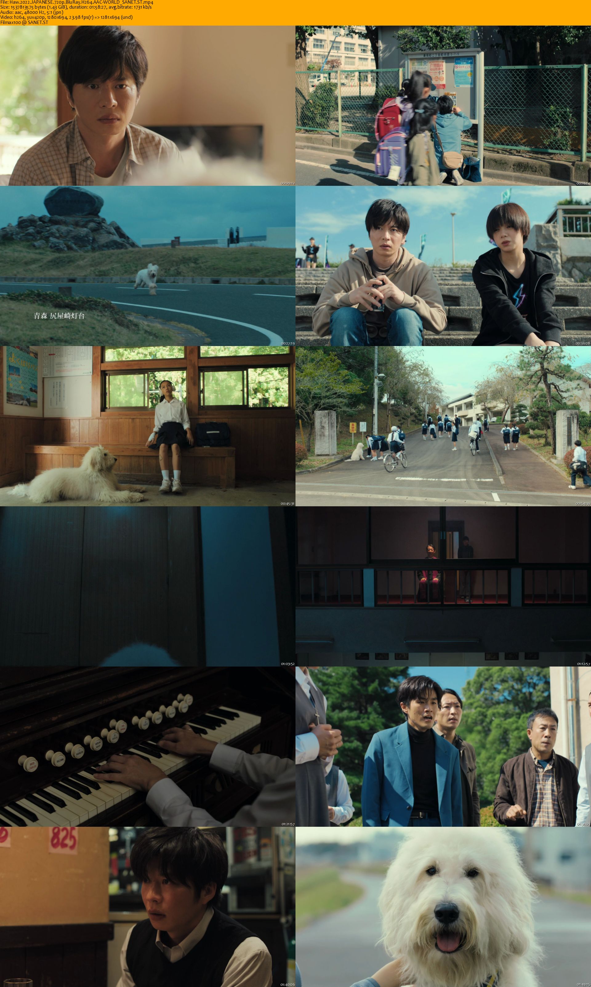 Haw 2022 JAPANESE 720p BluRay H264 AAC-WORLD - SoftArchive