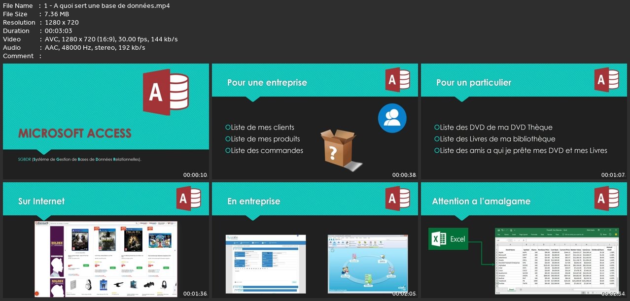 Apprendre Et Maîtriser Microsoft Access | SoftArchive