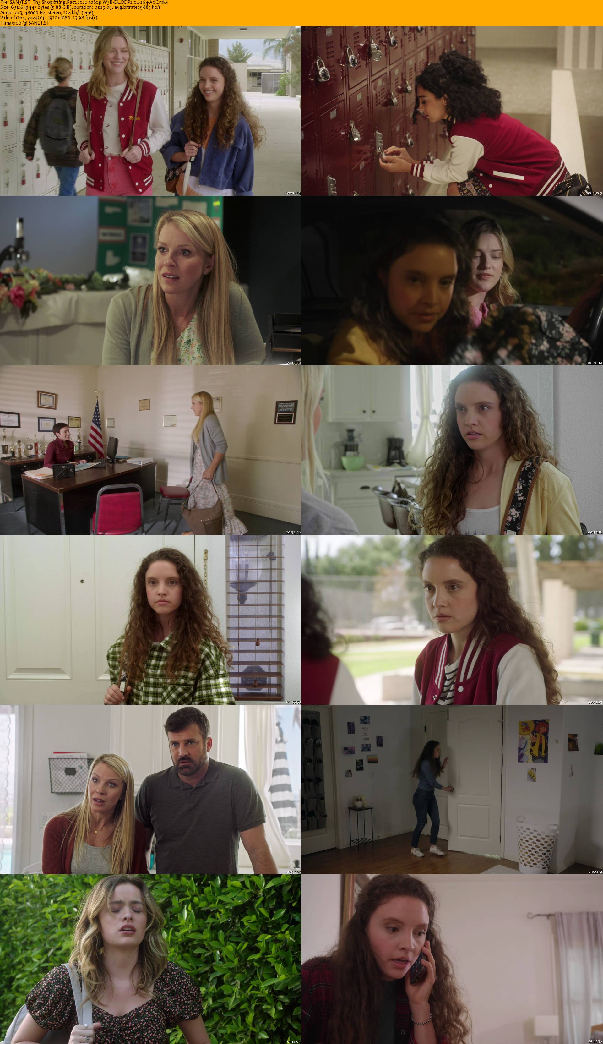 The Shoplifting Pact 2022 1080p WEB-DL DDP2.0 x264-AOC | SoftArchive