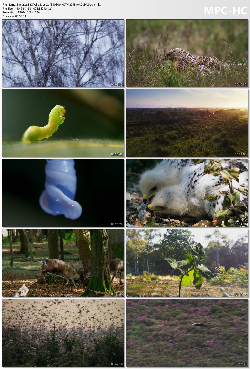 BBC - Wild Isles (2023) 1080p HDTV x265 AAC MVGroup | SoftArchive