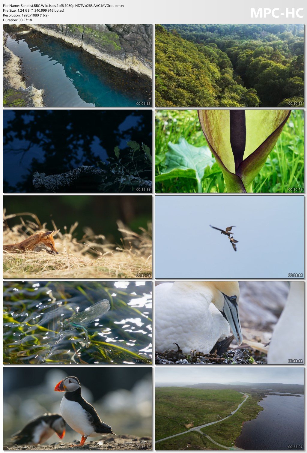 BBC - Wild Isles (2023) 1080p HDTV x265 AAC MVGroup | SoftArchive