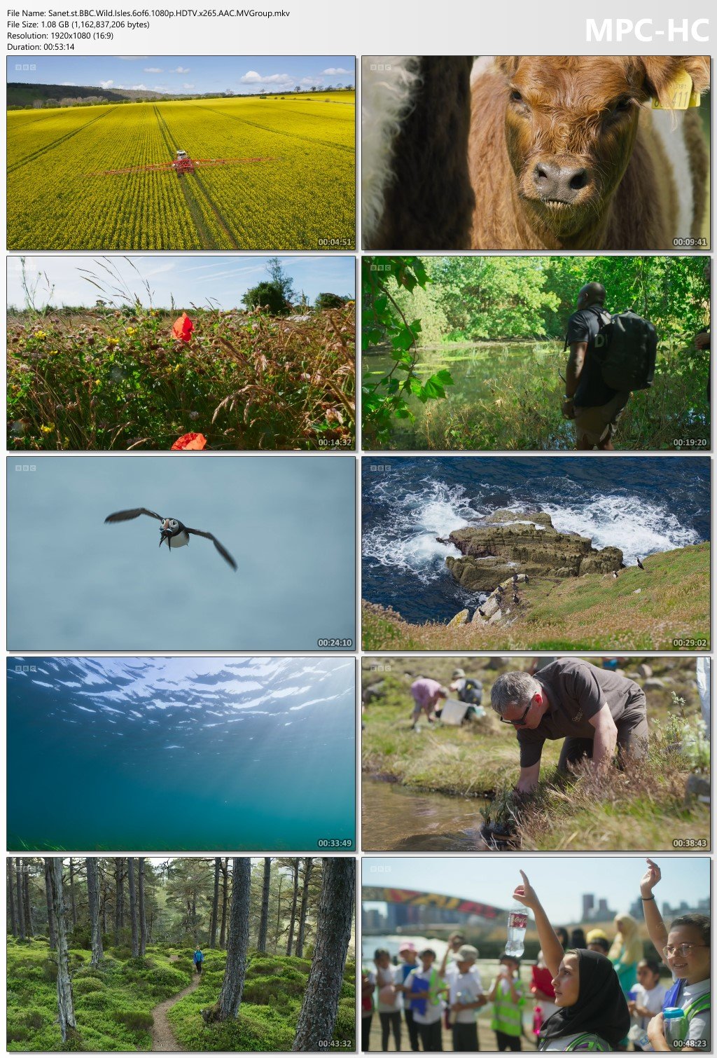 BBC - Wild Isles (2023) 1080p HDTV x265 AAC MVGroup | SoftArchive