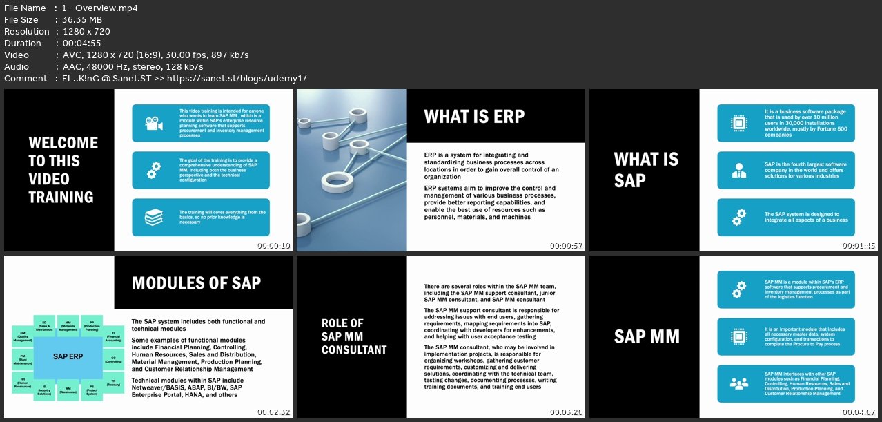Sap Mm: From Beginner To Expert, Easy Path In Clear English! | SoftArchive