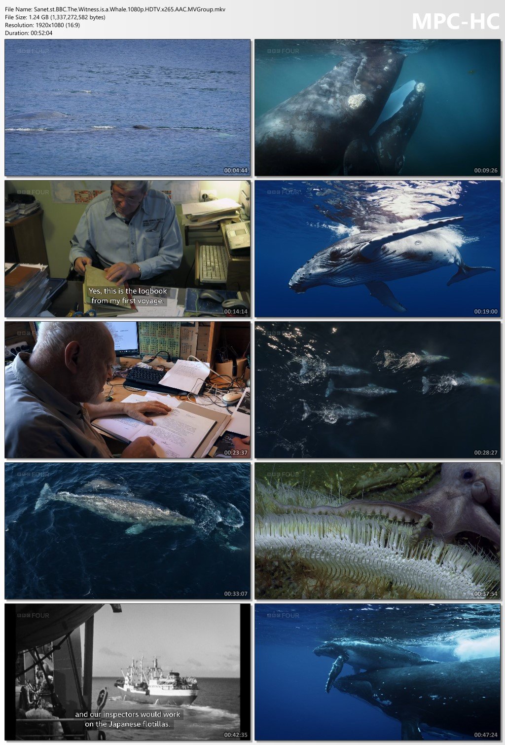 BBC - The Witness is a Whale (2023) 1080p HDTV x265 AAC MVGroup ...
