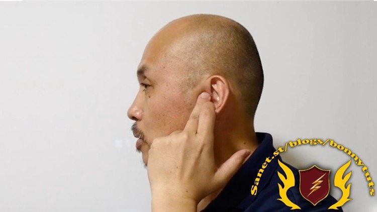 Self Meridian Facial Massage Basic Materials | SoftArchive