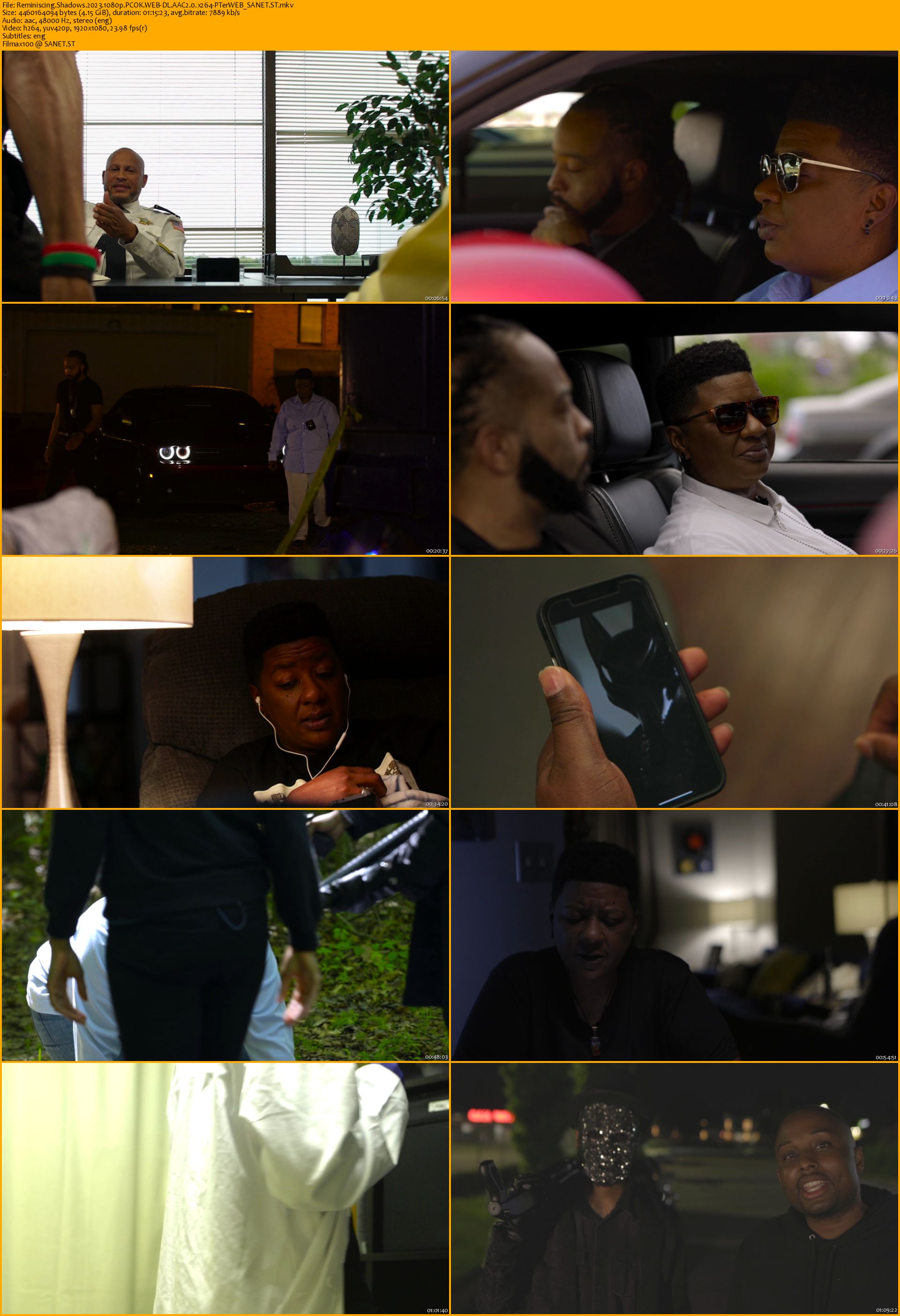 Reminiscing Shadows 2023 1080p PCOK WEB-DL AAC2.0 x264-PTerWEB ...