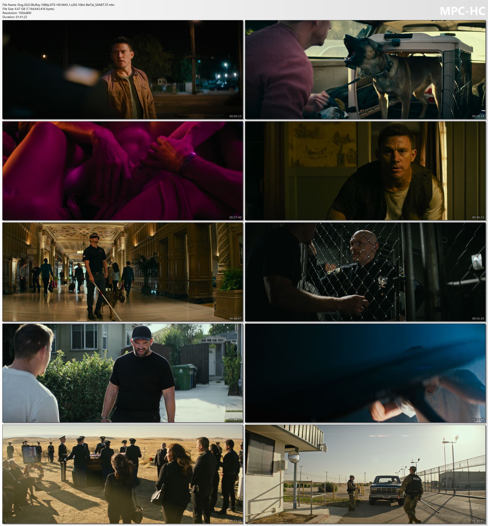Dog 2022 BluRay 1080p DTS-HD MA5.1 x265 10bit-BeiTai | SoftArchive