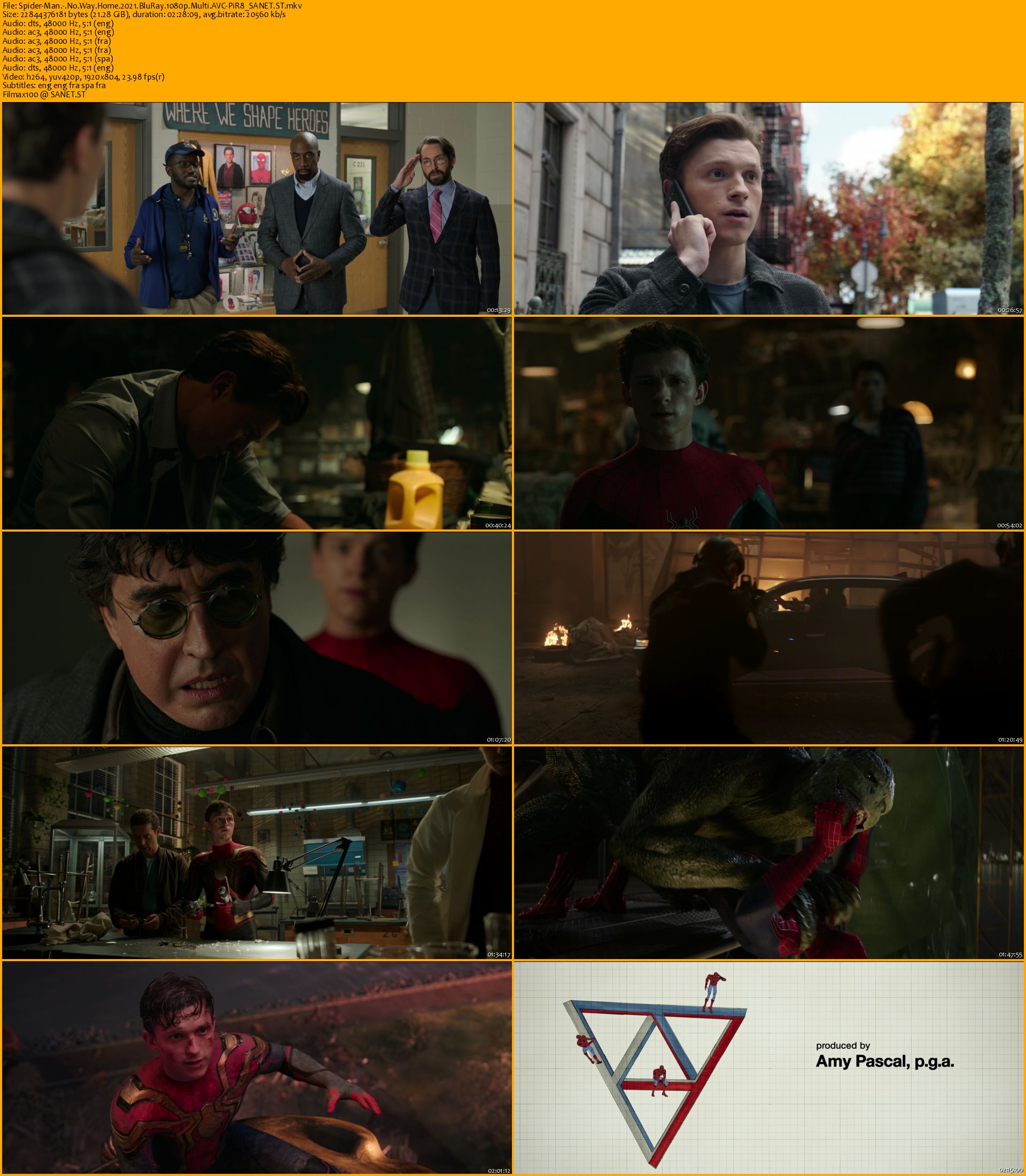 Spider-Man No Way Home 2021 BluRay 1080p Multi AVC-PiR8 | SoftArchive