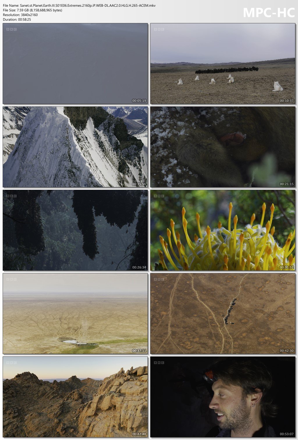 Planet Earth III S01E06 Extremes 2160p iP WEB-DL AAC2.0 HLG H.265-ACEM ...