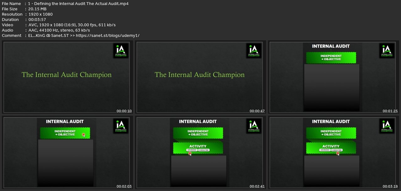 The Internal Audit Champion | SoftArchive