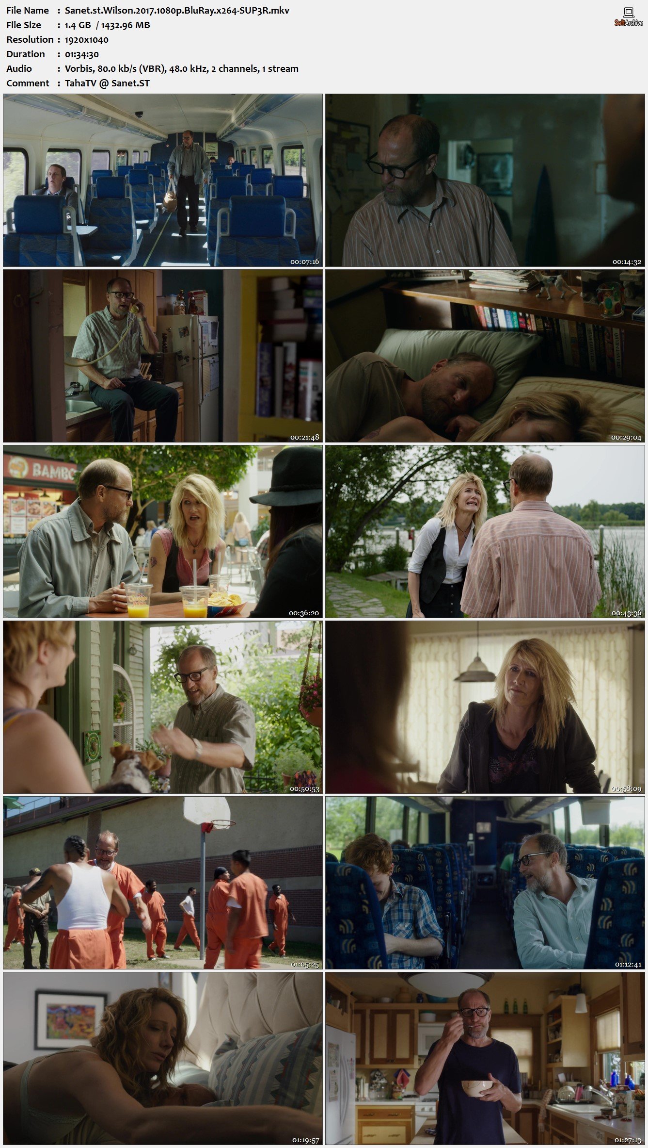 Wilson 2017 1080p BluRay x264-SUP3R | SoftArchive